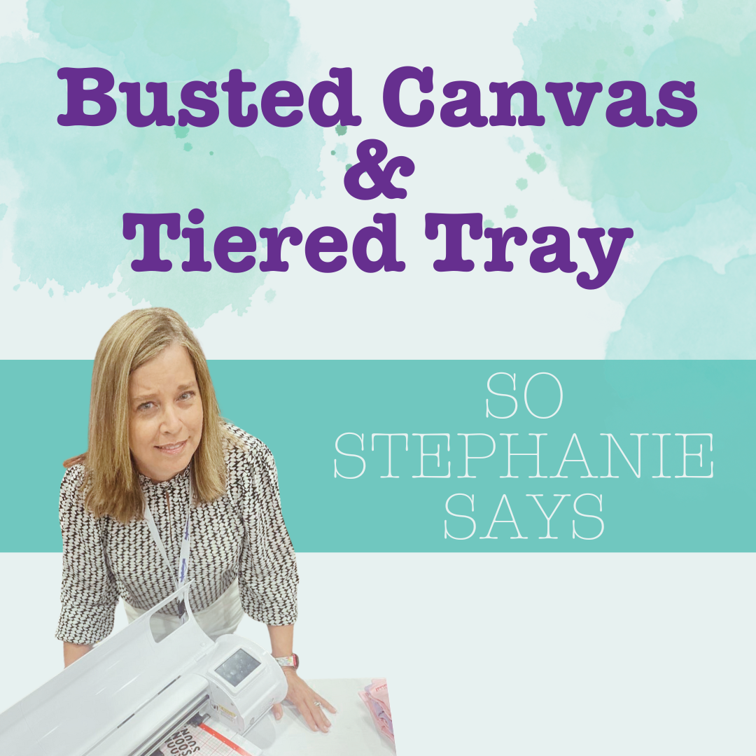 Painted Turtle Craft Co, Creative Paint Studio and Siser Vinyl Shop